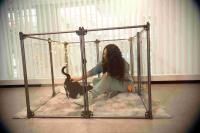 China Rectangular Design Portable Pet Fences Clear Dog And Cat Playpens for sale