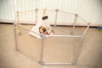 China Durable Transparent  Foldable Pet Playpen For Indoor And Outdoor for sale