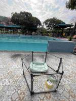 China Outdoor Metal Portable Pet Fences For Yard Pool And Garden for sale