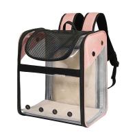 China PVC Completely Transparent And Foldable Breathable Pet Travel Carrier Cat Backpack for sale