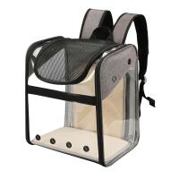 China PVC Completely Transparent And Foldable Breathable Pet Travel Carrier Cat Backpack for sale