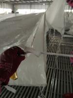 China PP Woven Dry Bulk Storage Bags For Coffee Beans / Minerals / Chemicals / Food for sale