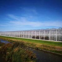 China 3mm 4mm Tomato Venlo Portable Glass Greenhouse Roof And Side Ventilation Control By Motor for sale