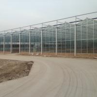 China Automatic Control Intelligent Agricultural Glass Greenhouse For Sale Farm Cooling Shading Irrigation System for sale