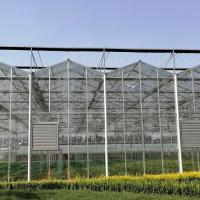 China Water Production Agricultural Greenhouse Manufacturer Growing Hydroponic System Rooling Bench System for sale