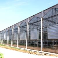 China Tomato Cucumber Lettuce Greenhouse System Venlo Agriculture With Cooling Fan Pad for sale