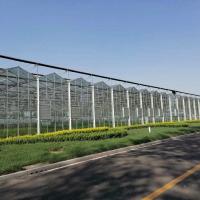 China Venlo Roof Glass Green House For Agriculture 10.8m Lettuce Leaf Vegetable Salad Greenhouse for sale