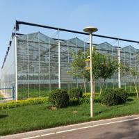 China 10 X 6 10 X 12 10 X 10 10 X 8 Commercial Glass Greenhouse Galvanized Steel Growing Flower Vegetable for sale