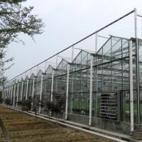 China 12m Span Gutter Connected Venlo Tempered Glass Greenhouse For Flowers 12x10 12x12 12x14 for sale