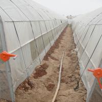 China 9x30m Plastic Tunnel Greenhouse Covered Plastic Film For Vegetable Growing for sale
