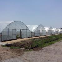 China 9x30m Plastic Tunnel Greenhouse Covered Plastic Film For Vegetable Growing for sale