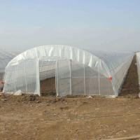 China 9x30m Plastic Tunnel Greenhouse Covered Plastic Film For Vegetable Growing for sale