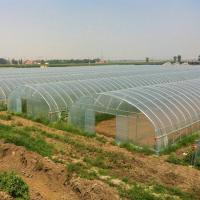 China 9x30m Plastic Tunnel Greenhouse Covered Plastic Film For Vegetable Growing for sale