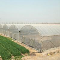 China 10000m2 Big Span Agriculture Multi Span Greenhouse Plastic Film Green House For Hydroponic Growing for sale