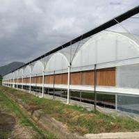 China 10000m2 Big Span Agriculture Multi Span Greenhouse Plastic Film Green House For Hydroponic Growing for sale