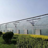 China 10000m2 Big Span Agriculture Multi Span Greenhouse Plastic Film Green House For Hydroponic Growing for sale
