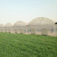 China 10000m2 Big Span Agriculture Multi Span Greenhouse Plastic Film Green House For Hydroponic Growing for sale