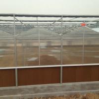 China 6x12 6x10 6x8 Large Venlo Type Polycarbonate Greenhouse Design With Galvanized Steel Structure for sale