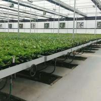 China Agriculture Ebb And Flow tables Hydroponic  seedling Grow Rolling Bench seedbed with abs tray for sale