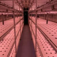 China 40 Feet Container Farming Plant Factory For Hydroponic Growing Lettuce Leaf Vegetable Growing for sale