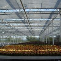 China Inner Shading System Aluminium Foil Greenhouse Shade Netting Agriculture for sale