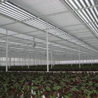 China 4.3m 55% Shading Rate Aluminum Foil Shade Net Shade Screen  Shadow Cloth For Inner Shading System for sale