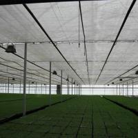 China 4.3m 55% Shading Rate Aluminum Foil Shade Net Shade Screen  Shadow Cloth For Inner Shading System for sale