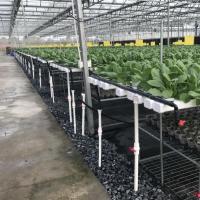 China 100x50mm Nft Hydroponic Gutter System Rain Pvc Channels Grow System For Lettuce Strawberry for sale