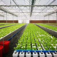 China 100x50mm Nft Hydroponic Gutter System Rain Pvc Channels Grow System For Lettuce Strawberry for sale