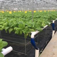 China 100x50mm Nft Hydroponic Gutter System Rain Pvc Channels Grow System For Lettuce Strawberry for sale