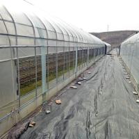 China Strong Polytunnel Greenhouse 3m X 2m 9m 10m Growing Mushroom Natural Ventilation Shade Net for sale