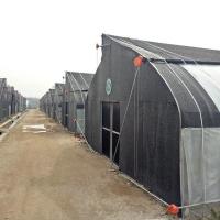 China 10m double framework mushroom greenhouse with black shade net and shelves outdoor for sale
