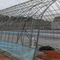 China Strong Polytunnel Greenhouse 3m X 2m 9m 10m Growing Mushroom Natural Ventilation Shade Net for sale
