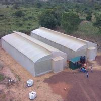 China Indoor Hydroponic Tropical Area Polytunnel  Sawtootch Greenhouse With Cooling Irrigation System for sale