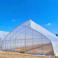 China Indoor Hydroponic Tropical Area Polytunnel  Sawtootch Greenhouse With Cooling Irrigation System for sale