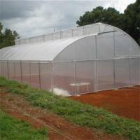China 10ft Plastic Film Sawtooth Greenhouse Tunnel Tropical Top Ventilation Tomato Growing for sale
