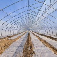 China Indoor Hydroponic Tropical Area Polytunnel  Sawtootch Greenhouse With Cooling Irrigation System for sale