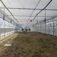 China 8m Wide Span Tomato Greenhouse Farming Commercial Poly Tunnel With Shading System Spray Irrigation System for sale