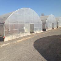 China 8m Wide Span Tomato Greenhouse Farming Commercial Poly Tunnel With Shading System Spray Irrigation System for sale