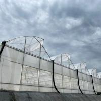 China Multi Span Agriculture Greenhouse Sawtooth With Cooling System Nursery Seedbed System for sale