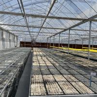 China Multi Span Agriculture Greenhouse Sawtooth With Cooling System Nursery Seedbed System for sale