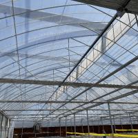 China Multi Span Agriculture Greenhouse Sawtooth With Cooling System Nursery Seedbed System for sale