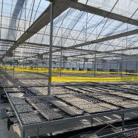 China Multi Span Agriculture Greenhouse Sawtooth With Cooling System Nursery Seedbed System for sale
