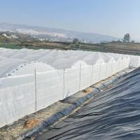 China Multi-Span Structure Greenhouse Commercial Modern Bluberry Hoop Green House With Film Covering for sale