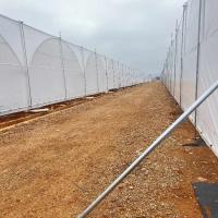 China Uv Resistant Polyethylene Berry Hoop Film Greenhouse With Door Keep Warm Growing Strawberry Blueberry for sale