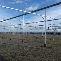 China 6m 7m 8m 9m Span Clear Plastic Film Greenhouse Vegetable Farming Tomatoes Pepper Lettuce for sale