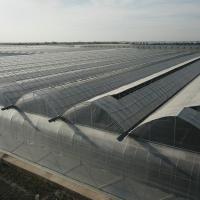 China Double Layer Plastic Film Greenhouse With Cooling System Heating System Shading System Grow Tomatoes for sale