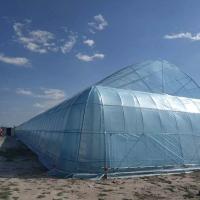 China Double Layer Plastic Film Greenhouse With Cooling System Heating System Shading System Grow Tomatoes for sale
