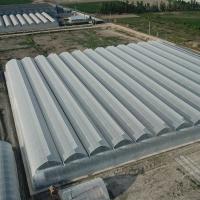 China Double Layer Plastic Film Greenhouse With Cooling System Heating System Shading System Grow Tomatoes for sale