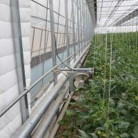China Double Layer Plastic Film Greenhouse With Cooling System Heating System Shading System Grow Tomatoes for sale